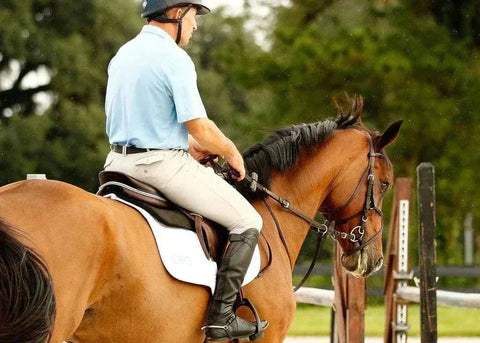 11 Types of English Disciplines Explained - Exceptional Equestrian