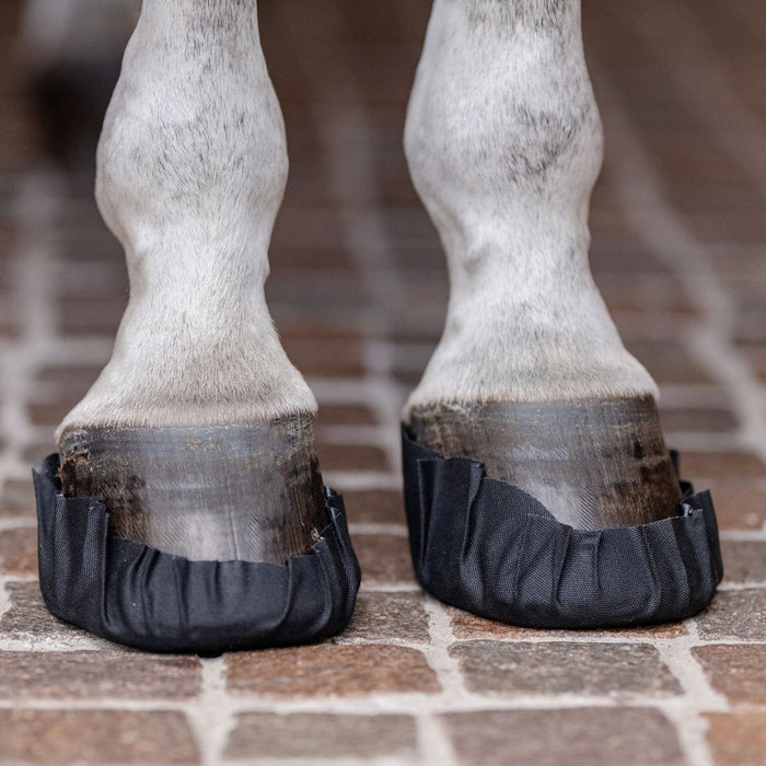 Buy Online Equifit Boots for Horses - Exceptional Equestrian