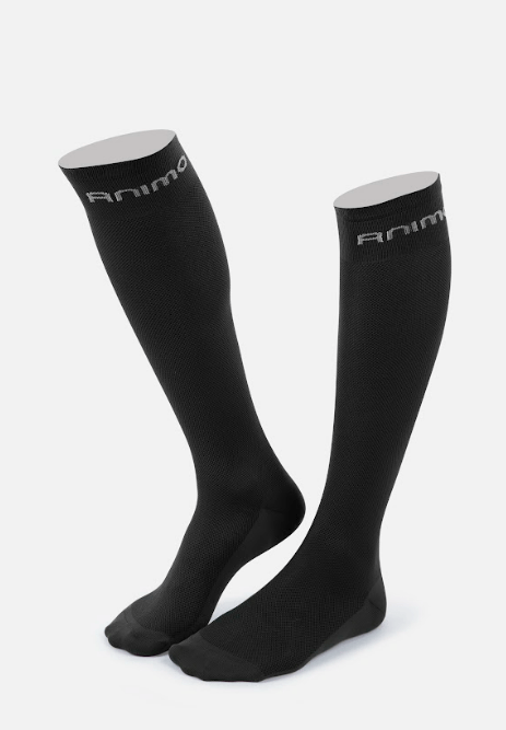 Socks | Exceptional Equestrian