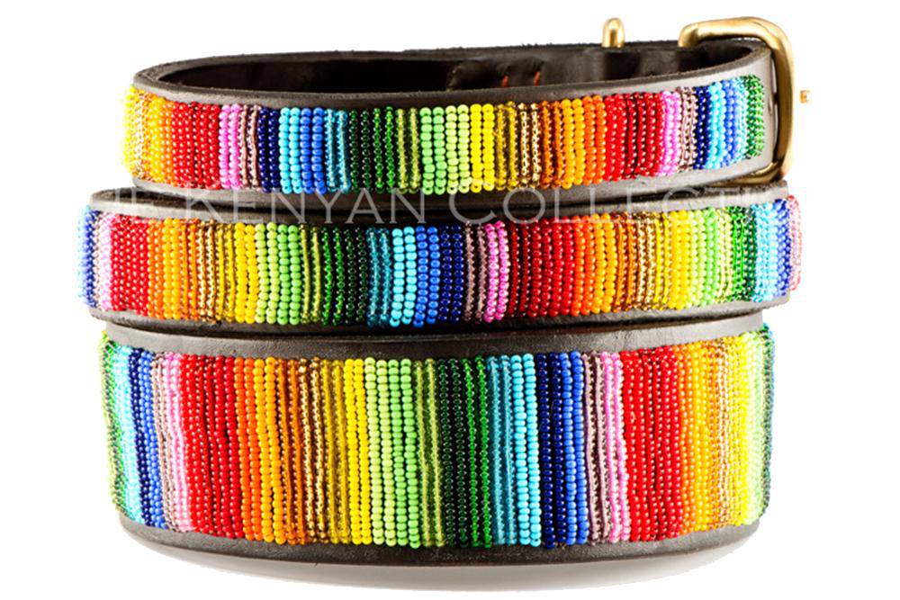 Rainbow Belts Wide Width | Exceptional Equestrian