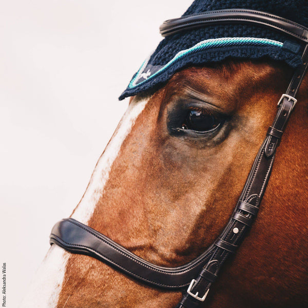 Schockemöhle - EQUITUS DELTA - Exceptional Equestrian